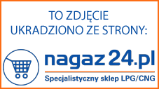 LPG Electrovalve Filter Replacement LANDI RENZO MED