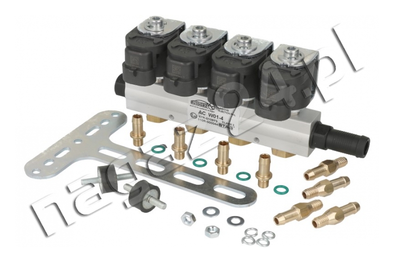 Injection rail ACW 01 4CYL + confection AC STAG (cena)