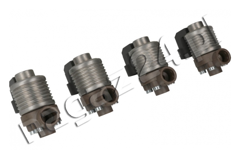 Injector ACW.031 STD + Manifold 4cyl. AC STAG (cena) | LP...