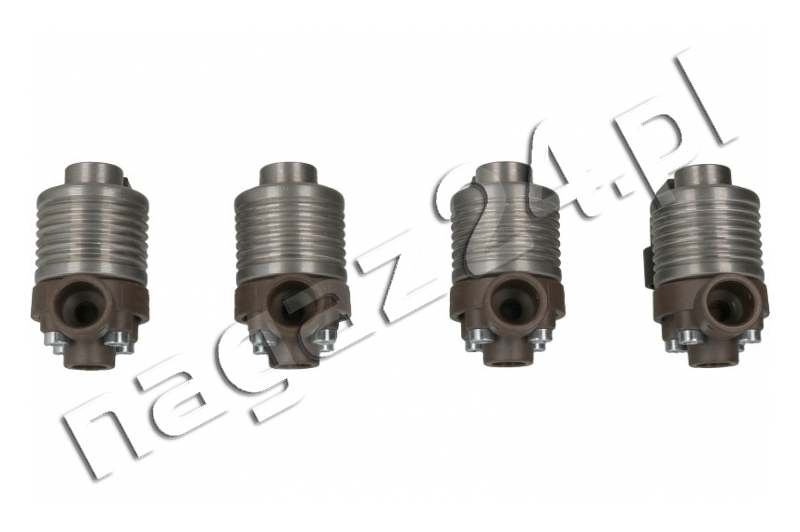 Injector ACW.031 STD + Manifold 4cyl. AC STAG (cena) | LP...