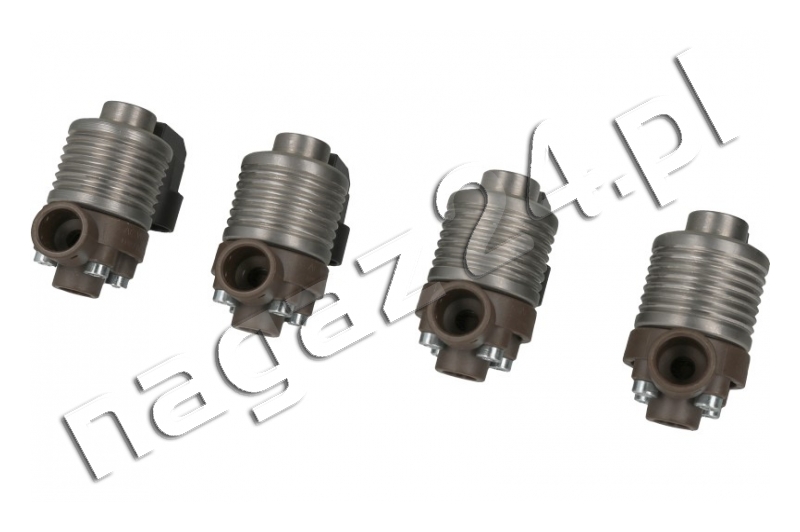 Injector ACW.031 STD + Manifold 4cyl. AC STAG (cena) | LP...