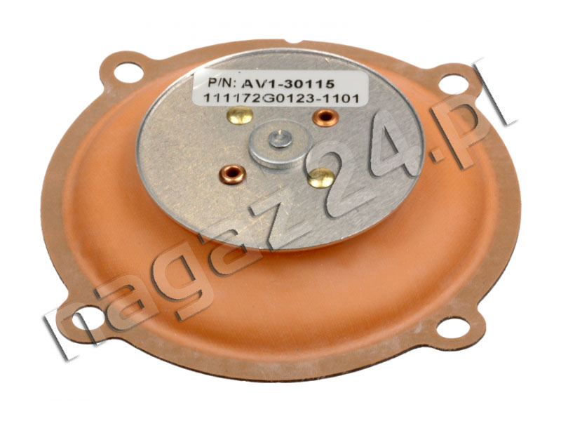 IMPCO Ca 60 repair kit | Nagaz24.com - Your specialised LPG/CNG ...