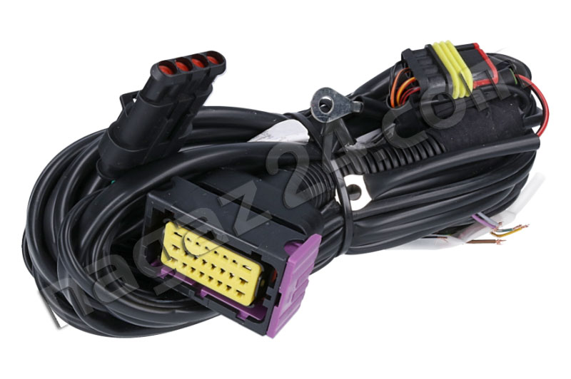 Harness TARTARINI EVO 01 PLN.diag./p.p. (cena) | LPG / CN...